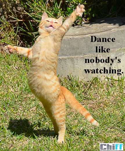 Photo Thought of the Day - Dance like nobody's watching.